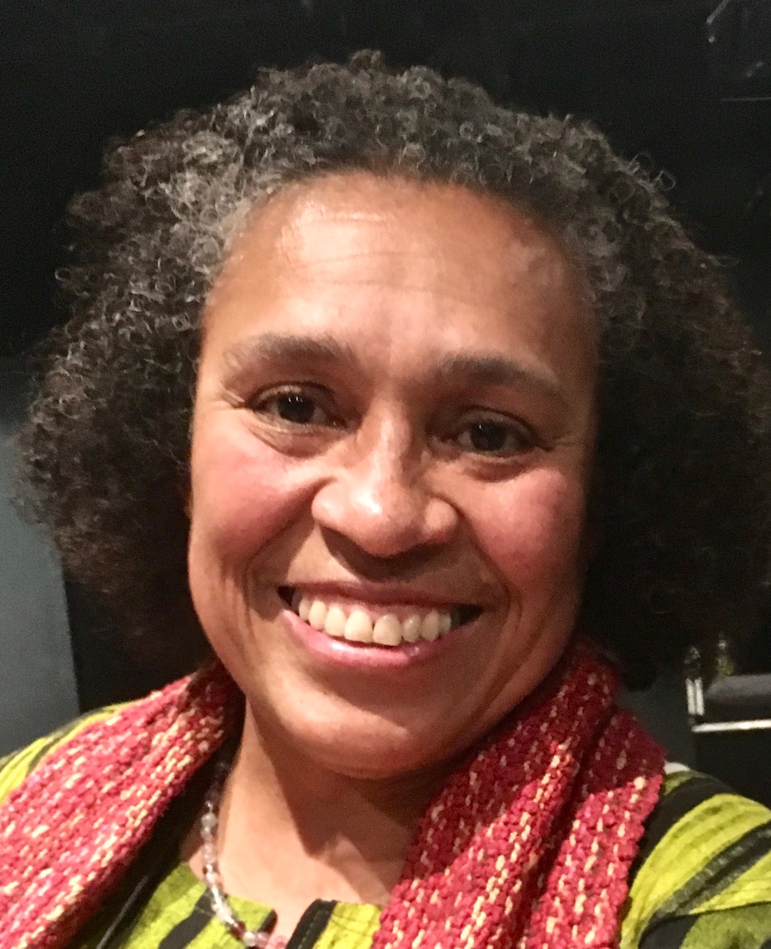 Plötzlich hatten wir eine afrodeutsche Geschichte: Die Rolle der ...